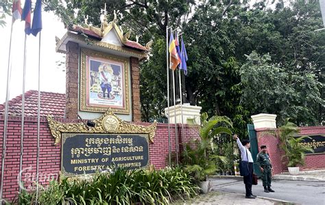 សត្វផ្សោតវ័យ៧ឆ្នាំមួយក្បាល ស្លា ប់ដោយសារឧបករណ៍ឆ ក់ នៅស្រុកសៀមបូក ខេត្តស្ទឹងត្រែង Khmerload