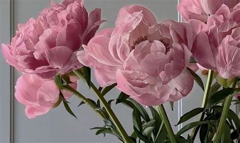 Пин от пользователя R на доске Collage Item Pins в 2025 г Цветочные