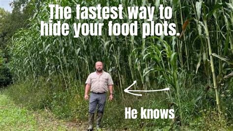 The Best Food Plot Screen At Northwoods Whitetails 2025 Youtube