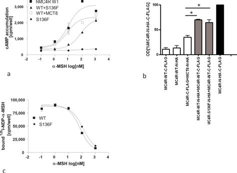 A Heterozygous Mutation In The Third Transmembrane Domain Causes A