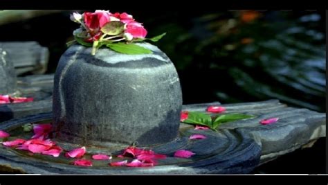 Maha Shivratri 2024 પાર્થિવ શિવલિંગની આજે કરો પૂજા કરોડો શિવ પૂજનનુ