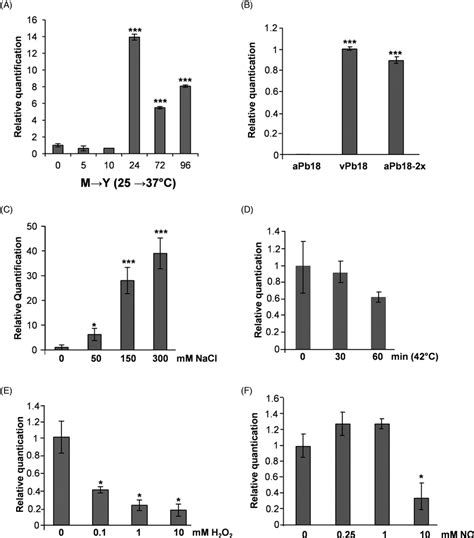 Reverse Transcriptase Qpcr Of Pbdrk1 From P Brasiliensis Under