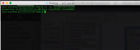 Troubleshooting 503 Errors Returned When Using A Classic Load Balancer