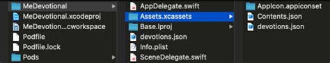 Swift Cannot Link To Local File With Swiftyjson Stack Overflow