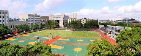 三区联动 上海市杨浦区人民政府