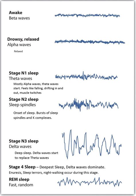 Neural And Hormonal Control Of Behavior Mapasgmaes