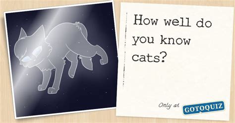 How Well Do You Know Cats