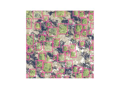 How Do I Use A Pretrained Model To Predict An Image — Deepforest 152 Documentation