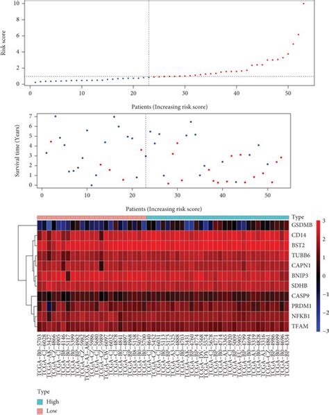 Testing The Predictive Signature Based On 11 Pyroptosis Associated Download Scientific Diagram