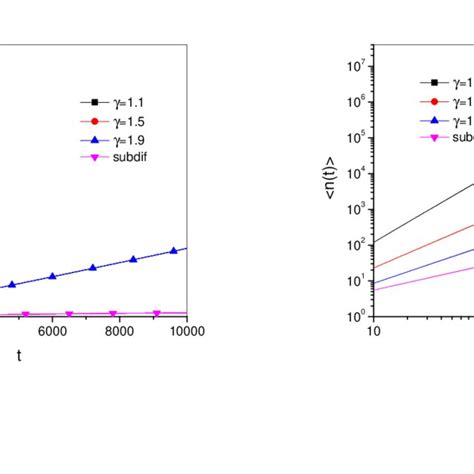 Time Evolution Of The Mean Number Of Particle Steps Done On A
