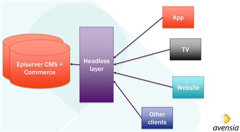 Is Headless Epi Commerce Worth Investing In Avensia