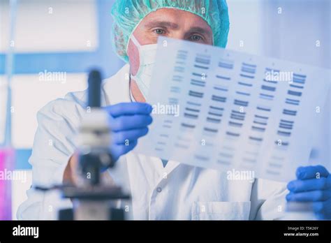 Scientist Analizing DNA Sequence In The Modern Laboratory Stock Photo Alamy