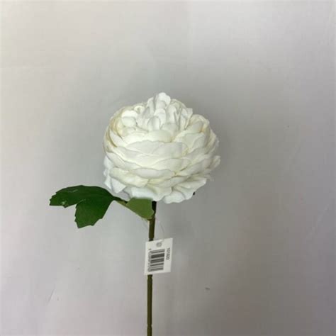 7cm Single Ranunculus Short Stem Ivory L36cm Village Green