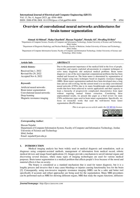 pdf overview of convolutional neural networks architectures for brain