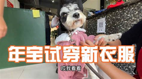房车夫妻结束了海岸线环游，燕姐给年宝买的新衣服到了，看看穿上衣服英俊潇洒的年宝【房车兵哥之旅】 Youtube