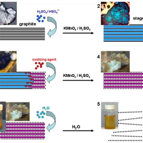 Schematic Representation Of Graphene Oxide Go Synthesis Formation Of