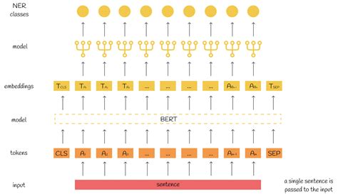Large Language Models Bert Bidirectional Encoder Representations From Transformer Towards