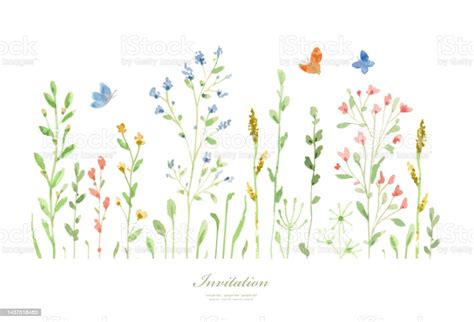 수채화 초원 꽃입니다 벡터 그림입니다 성장하는 꽃 잔디와 날아 다니는 나비가있는 배너 디자인을위한 현장 식물 스케치 꽃 식물에 대한 스톡 벡터 아트 및 기타 이미지 Istock
