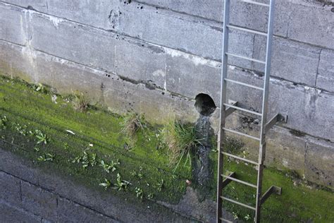 Posting To A Rest Api With C Dotnet Playbook