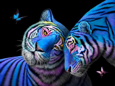 Wanrooij Gallery Koh Sang Woo Wild In Blue The Eye Of Photography