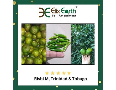 Elixearth® Soil Amendment On Linkedin Just Look At Those Greens 💚⭐⭐⭐⭐