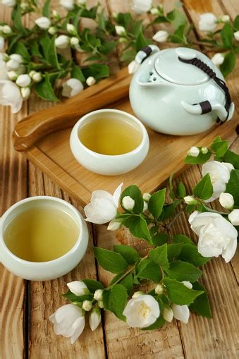 자스민 차 자스민 꽃과 녹차 녹색 주전자와 차 두 잔 자스민 나무 배경에 가지 유기농 천연 허브 바이오 티 0명에 대한 스톡 사진 및 기타 이미지 Istock