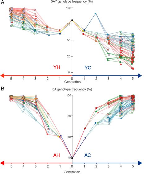 Figure 1 From Strong Within Host Selection In A Maternally Inherited Obligate Symbiont Buchnera