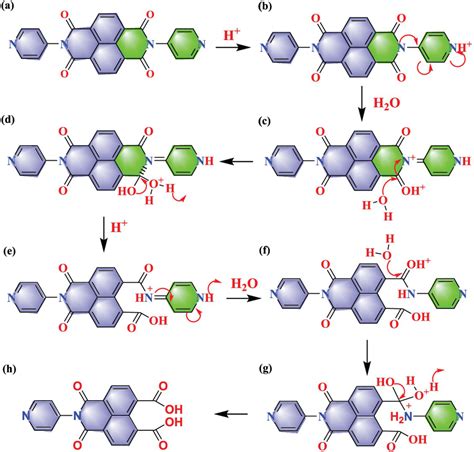 In Situ Reaction Interpretation Diagram Of Ligand Download Scientific Diagram