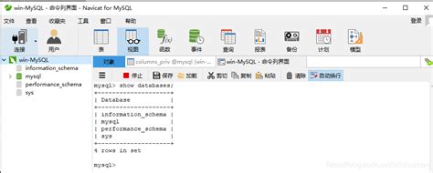 【庖丁解牛】navicat for mysql连接时候报错1251无法连接mysql 49天精通云计算运维 csdn专栏