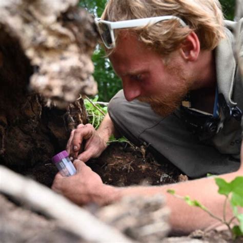 Does Anyone Have Experience With Dna Extraction From Insects Caught In Scheerpelz Solucion