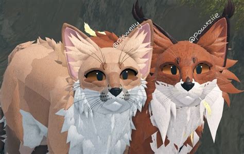 Fox Collab Orange Red Black And Gray Wcue Morphs 🦊 Warrior Cats