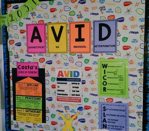 Avid Classroom Decor Ideas