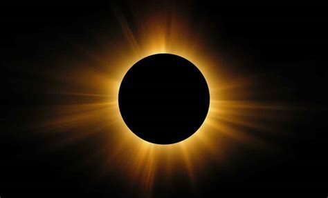 Stunning Archaeopteryx Fossil Found Intact — Scientists Are Speechless