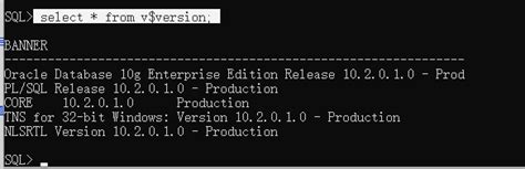Oracle Golden Gateogg学习——源端安装ogg （数据库版本为oracle 10g） Csdn博客