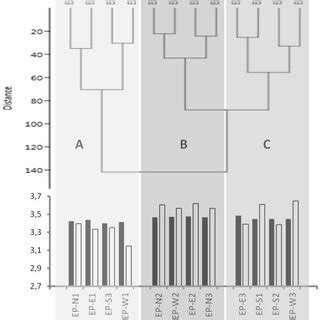 Dendrogram From Hierarchical Cluster Analysis And The Association Of