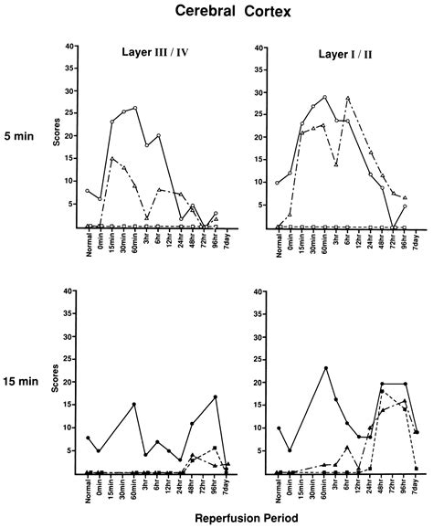 Induction Of C Fos And C Jun Gene Products And Heat Shock Protein After