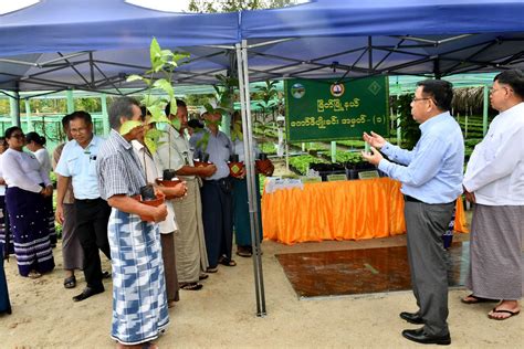 တနင်္သာရီတိုင်းဒေသကြီးဝန်ကြီးချုပ် ဦးမြတ်ကို မြိတ်ခရိုင်အတွင်း ကော်ဖီတိုးချဲ့စိုက်ပျိုးရန် ပ
