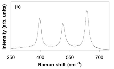 Shows The Raman Spectra For A Single Trapped Polystyrene Microsphere Download Scientific