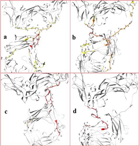Residual Interaction Network Analysis A Betweenness Centrality Analysis Download Scientific