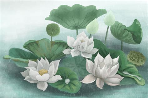 연꽃 일러스트 무료 다운로드 Lovepik