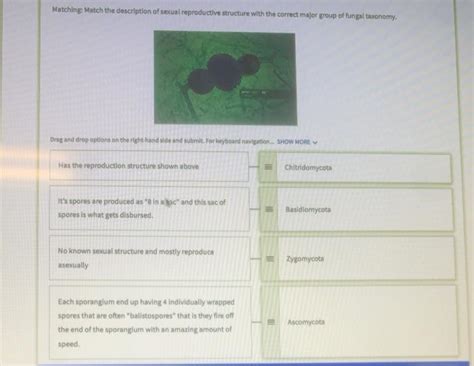 Solved Matching Match The Description Of Sexual Reproductive Chegg Com