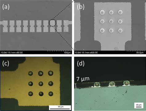 Enabling Low Pressure Low Temperature And Particle Control For Anisotropic Conductive