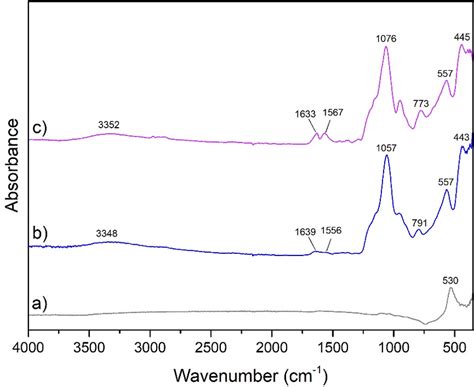 Ftir Atr Spectra Of The Nanoparticles A Fe3o4 B Fe3o4 Sio2 Sitmc
