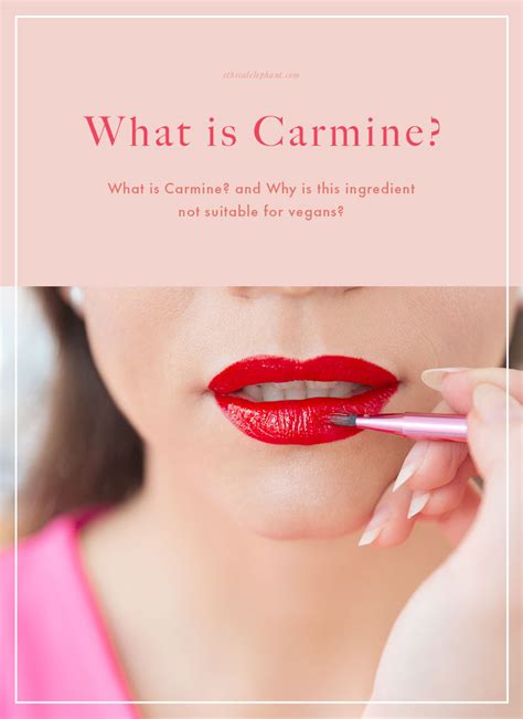 What Is Carmine Coloring Carmine What Is It And Where Is It Used
