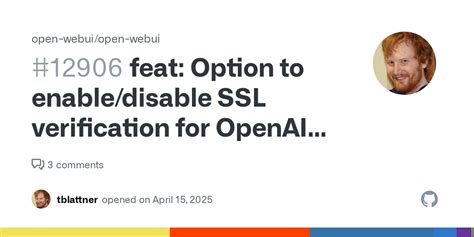 Feat Option To Enabledisable Ssl Verification For Openai Connections · Issue 12906 · Open