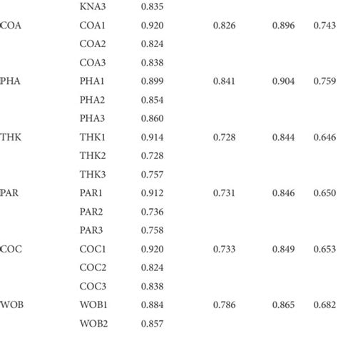 Assessment Of Reliability And Convergent Validity Download