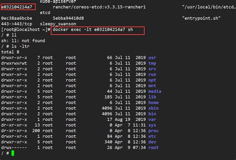 Docker原理之rootfs 正宗老菜鸟 博客园