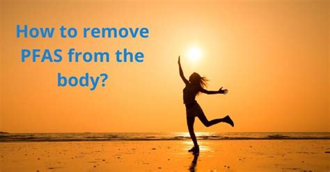How To Remove PFAS From The Body Living Whole