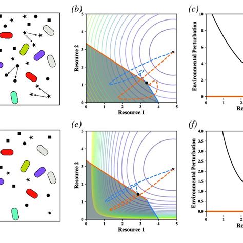 Steady States Of Consumer Resource Models Minimize Environmental Download Scientific Diagram