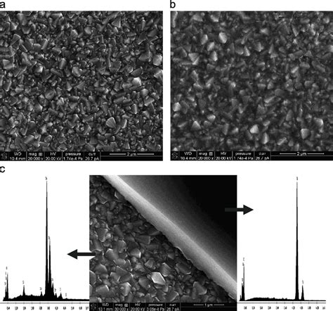 Sem Micrographs And Edx Spectra Of A Fto Substrate B Peg 20000 Download Scientific